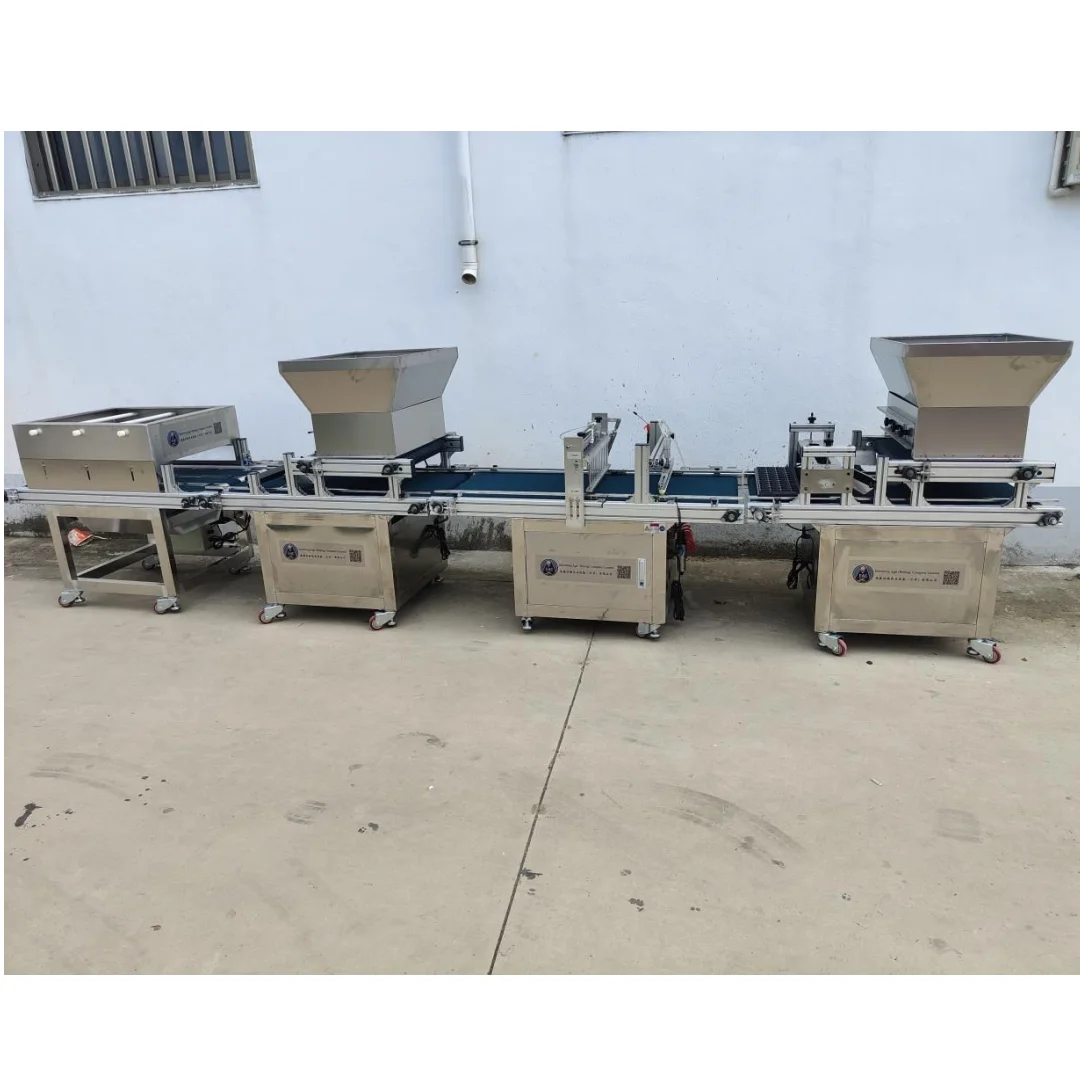 Tray Seeding Machine Fully Automatic Seedling Raising Machine Seedling ...