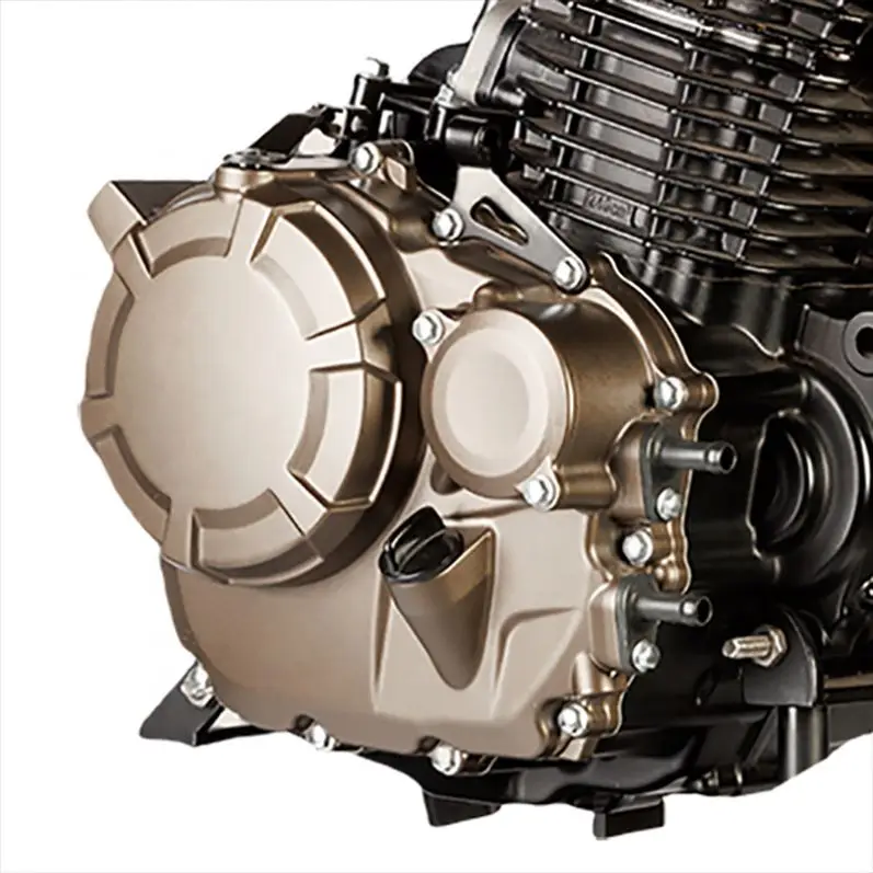 EDR Loncin Motorcycle FE250 Engine - Single-Cylinder, Four-stroke