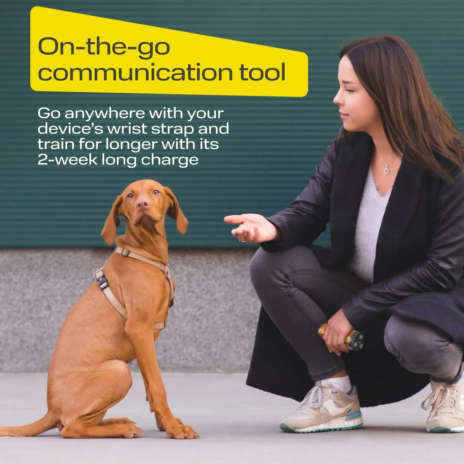 Rechargeable Sonic Bark Deterrent - Train Your Dog Effortlessly