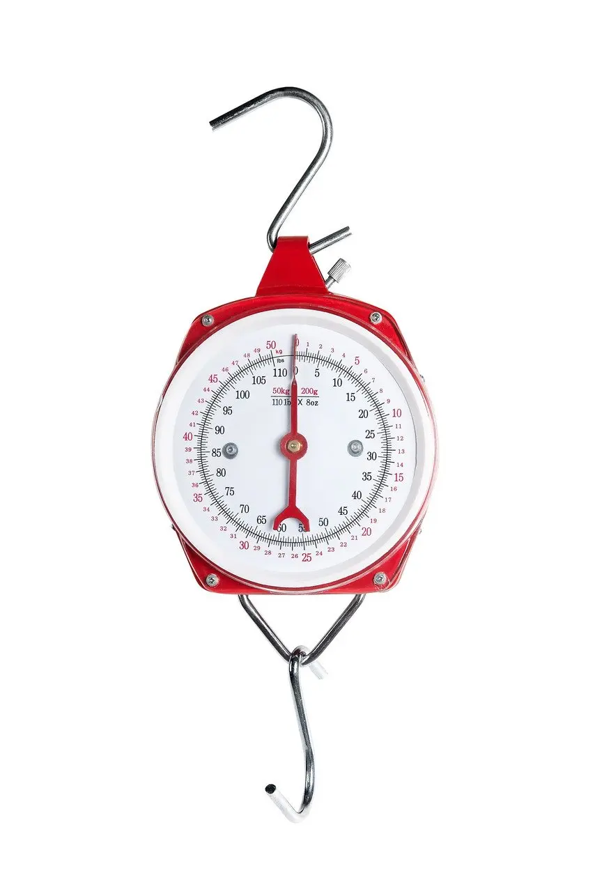 200kg Mechanical Baby Hanging Scale Spring Luggage Scale - Buy Spring ...