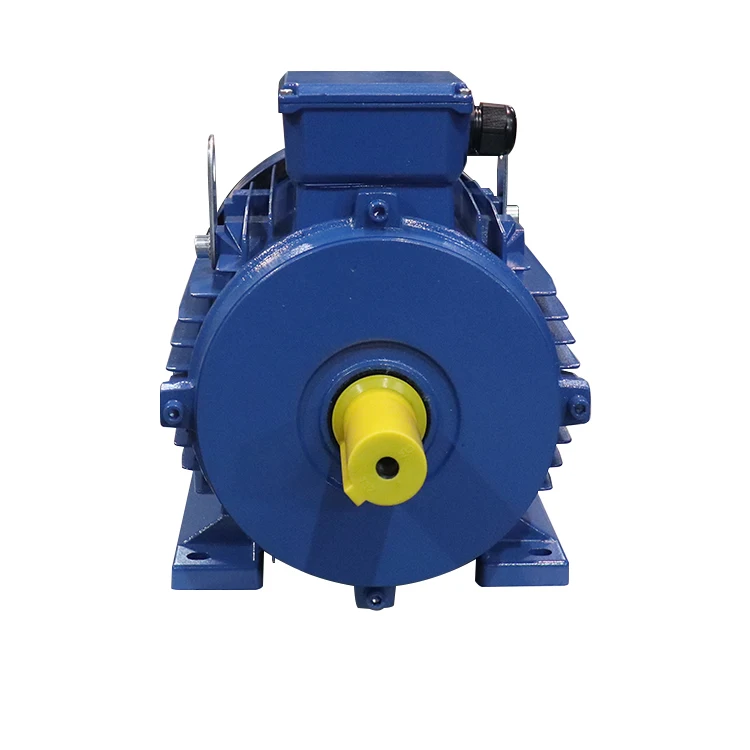 3 Phase 3kw Induction Motor - Efficient and Reliable Power