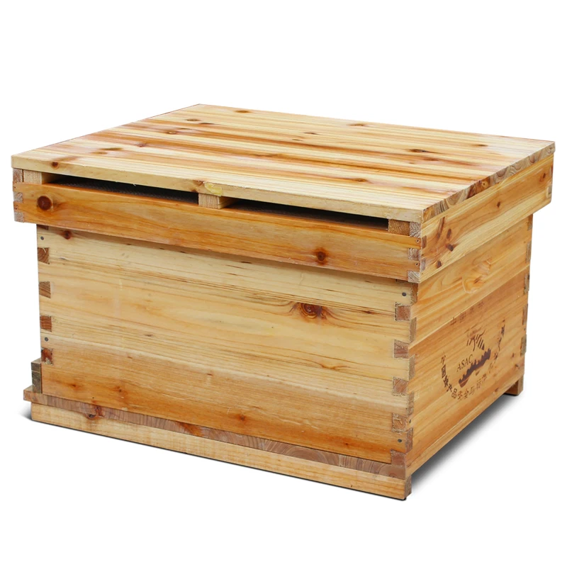 Venta al por mayor cajas para abejas apicultura-Compre online los ...