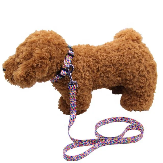 Hot Selling Eco-friendly Dog Collar High Quality Popular Polyester ...