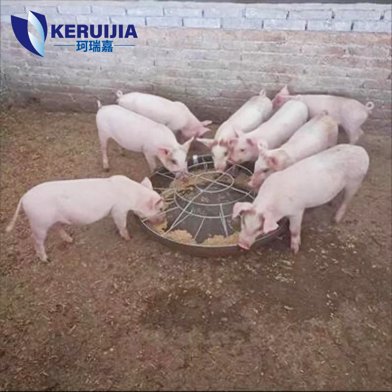 Big Size Piglet Complement Feed Trough Plastic Pig Feeder Pan