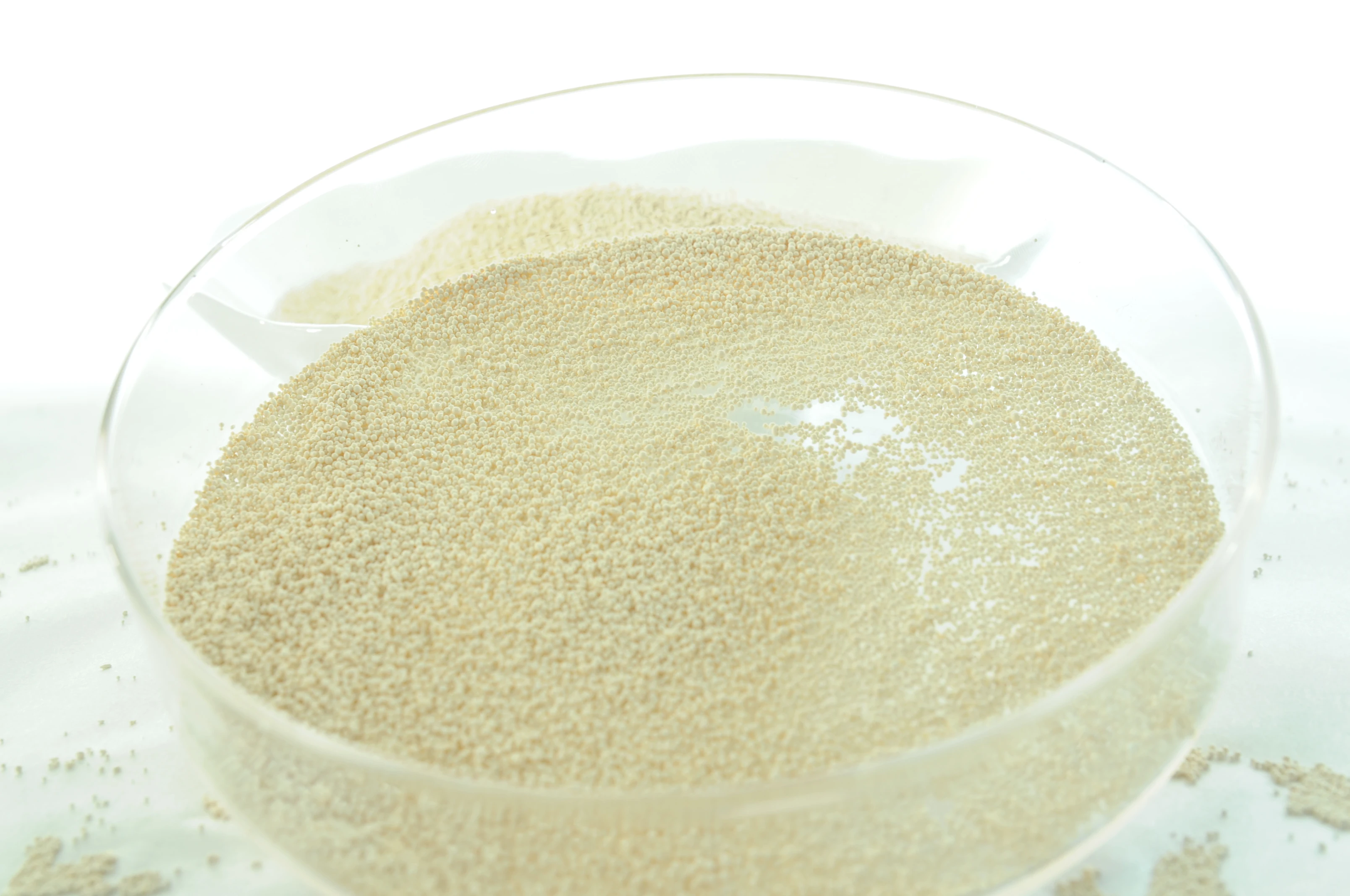 Chelating Resin for Boron Removal - Efficient Ion Exchange