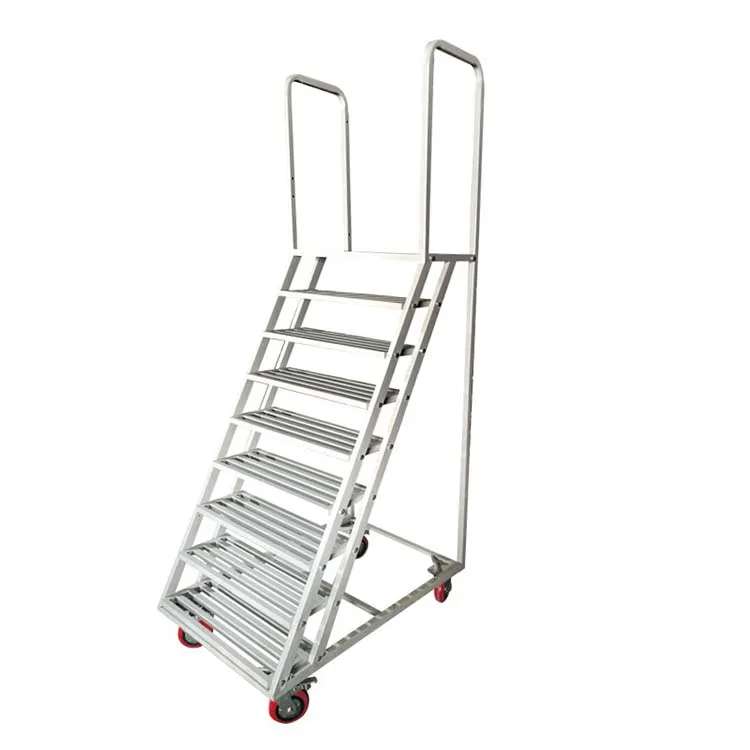 Step Ladder Trolley Storage Equipment Mobile Ladder Trolley Storage ...