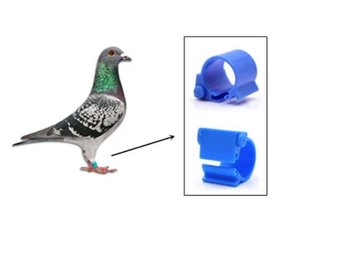 Rfid Tracking Animal Tag Pigeon Bird Ring Tag For Animal Management ...