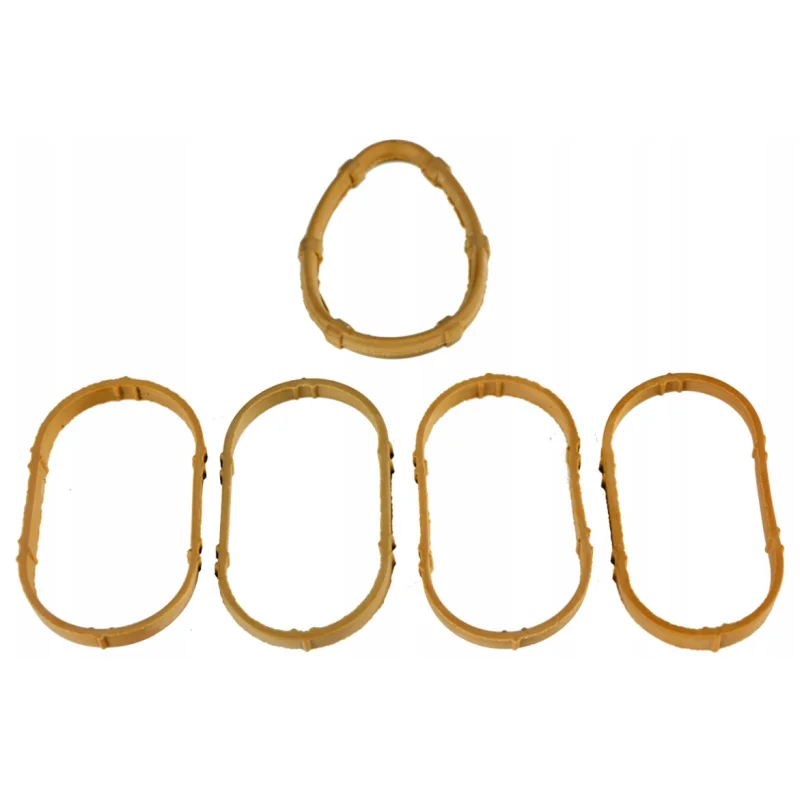 Hanous Intake Manifold Gasket for Renault Kangoo & More
