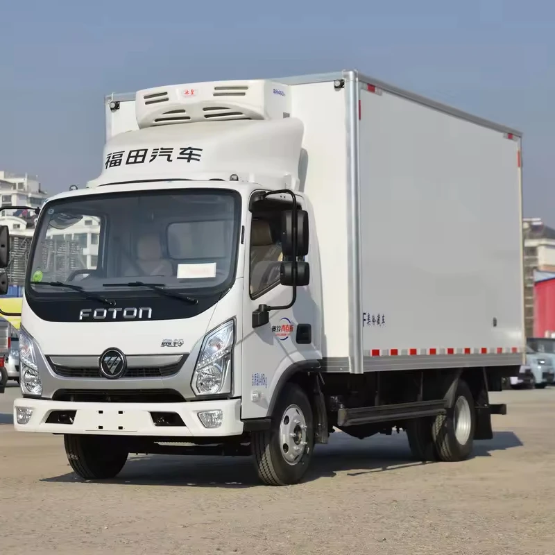 Cold Room Cargo Van Refrigerator Truck Freezer Delivery Vehicle Reefer ...