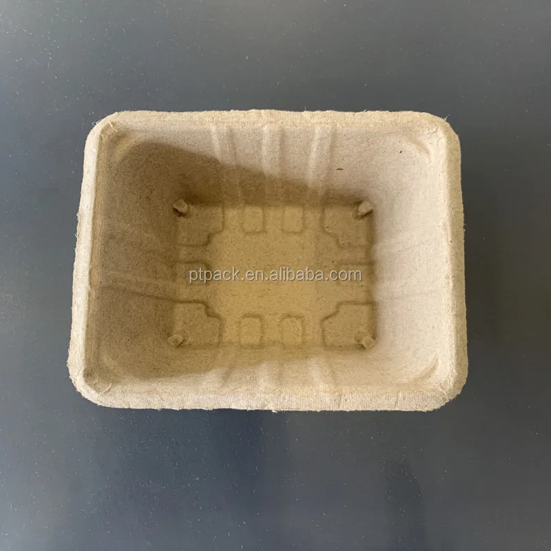 Mushroom Punnet Pulp Molded Tray - Sustainable Packaging