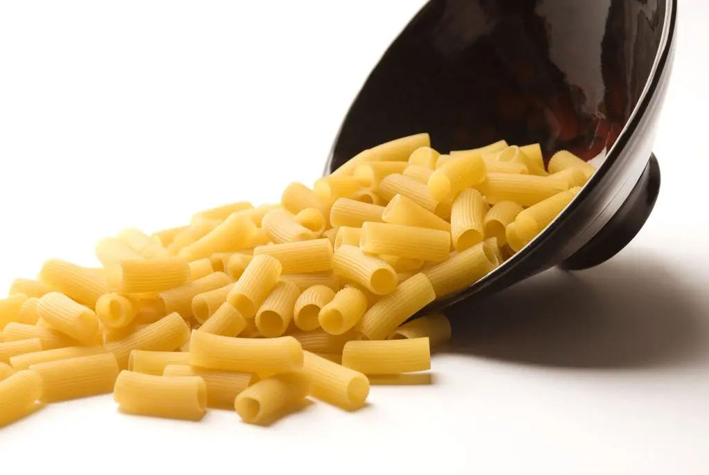 Stainless Steel Double Screw Extruder - Instant Pasta Maker