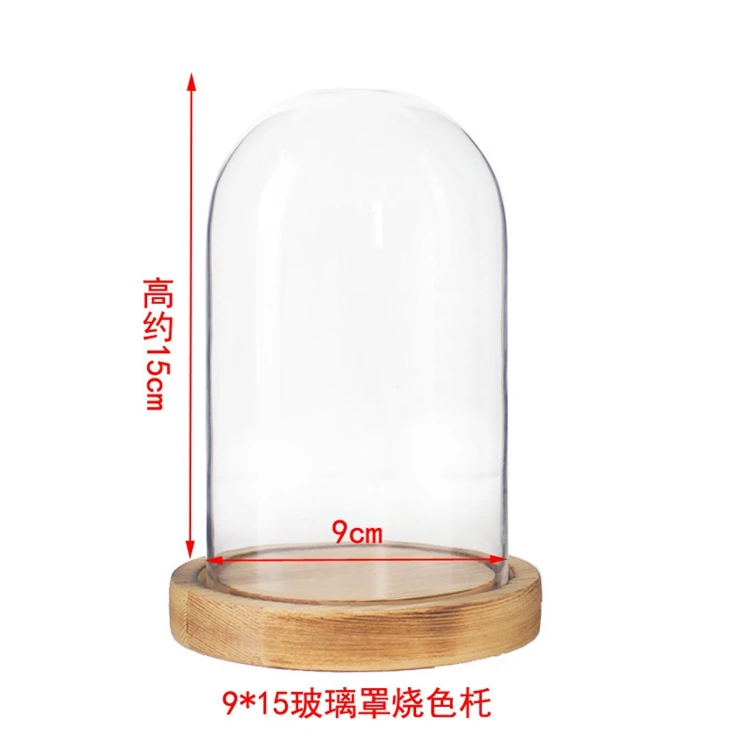 Home Decor Clear Oval Glass Domes With Base - Buy Oval Glass Dome With ...