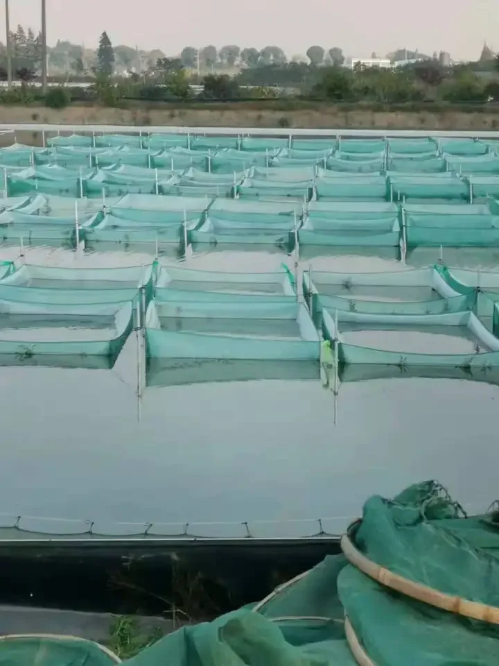 4*4*4m Fish Farming Aquaculture Tanks Fish Cage Hapa Net Cage Fishing ...