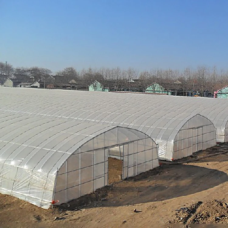 Multifunctional Polythene Sheet For Single-span Agriculture Greenhouse ...