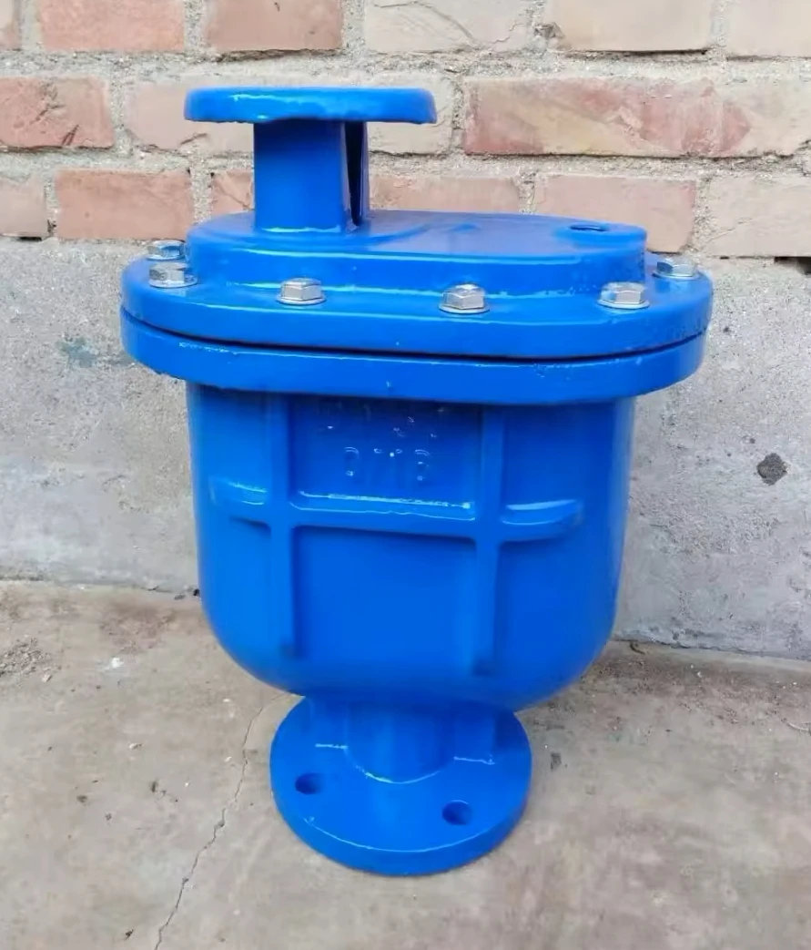 DN200 PN16 Flange End QT450 Compound Exhaust Valve Carx