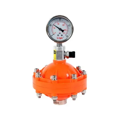 ChemSteady Diaphragm Pulse Stabilizer for Metering Pumps| Alibaba.com