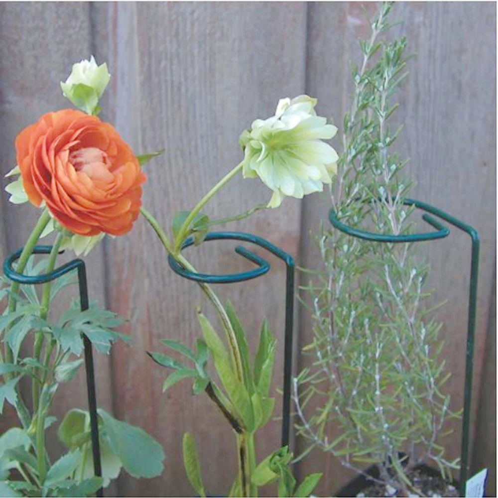 Metal Garden Plant Support Stakes - Climbing Frame for Flowers