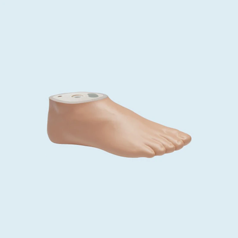 E-life E-prf90 & 91 S.a.c.h Foot Comfprtable Stable Prothesis Foot For ...