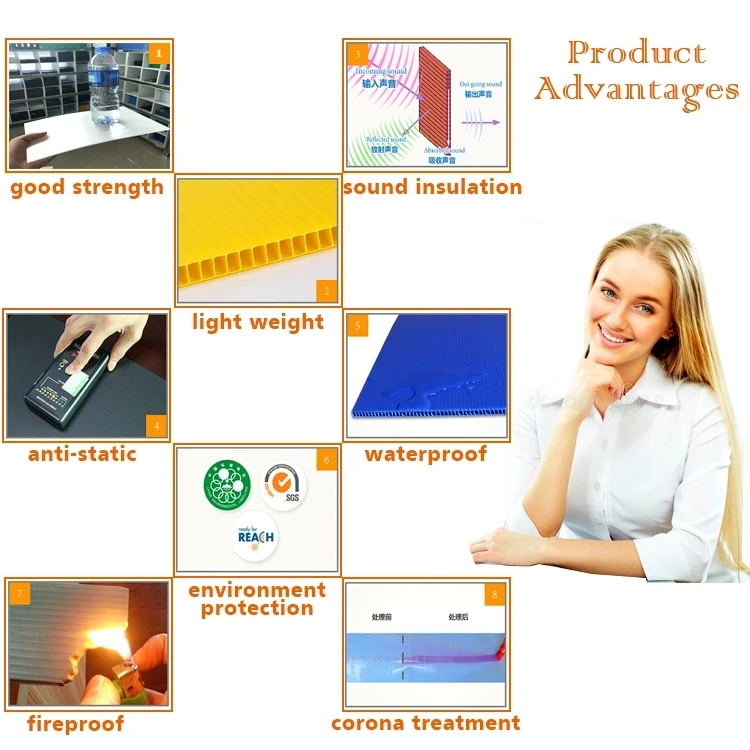 Chloroplast Plastic Board - Educational Model & Signage