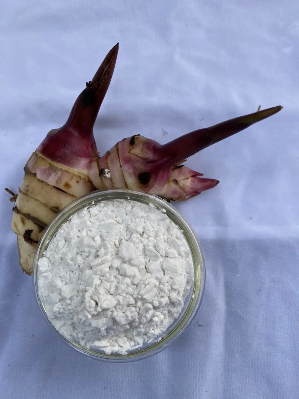Cheap Natural Arrowroot Starch Made In Viet Nam - Buy Arrowroot Flour ...