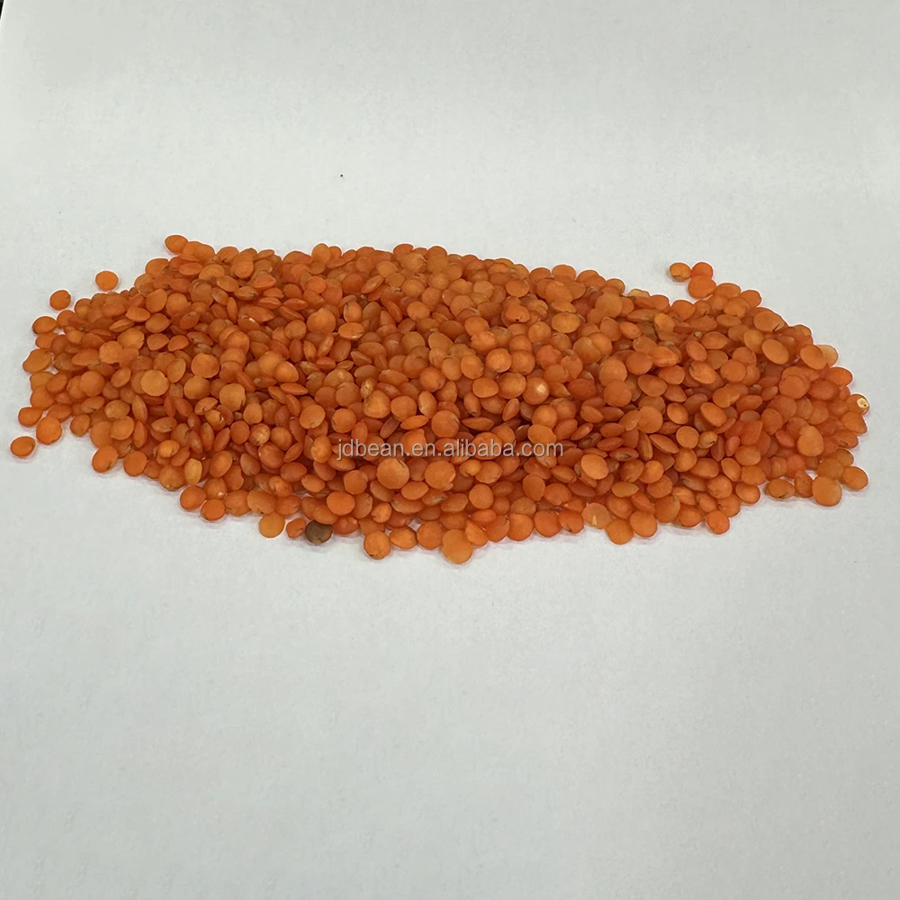 Whole Red Lentil with Husk - Dried Split Lentils Kacang Lentil