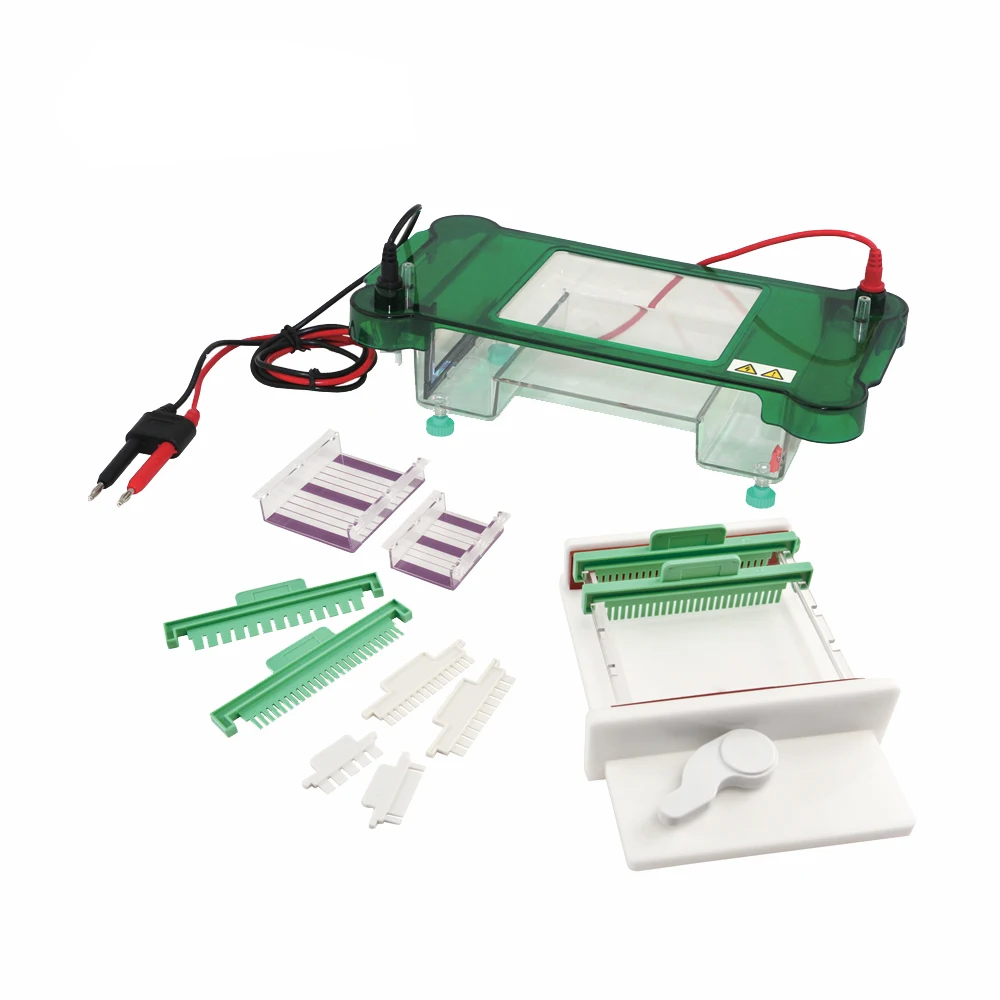 Gel Electrophoresis Tank - Efficient Medical Analysis