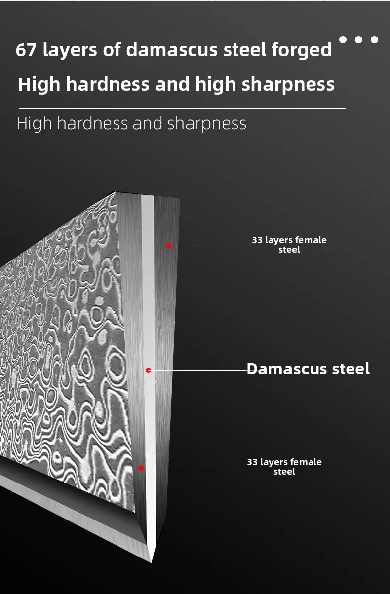 Japan Damascus Steel 67 Layer VG10 Santoku Chef's Knife Cutting ...