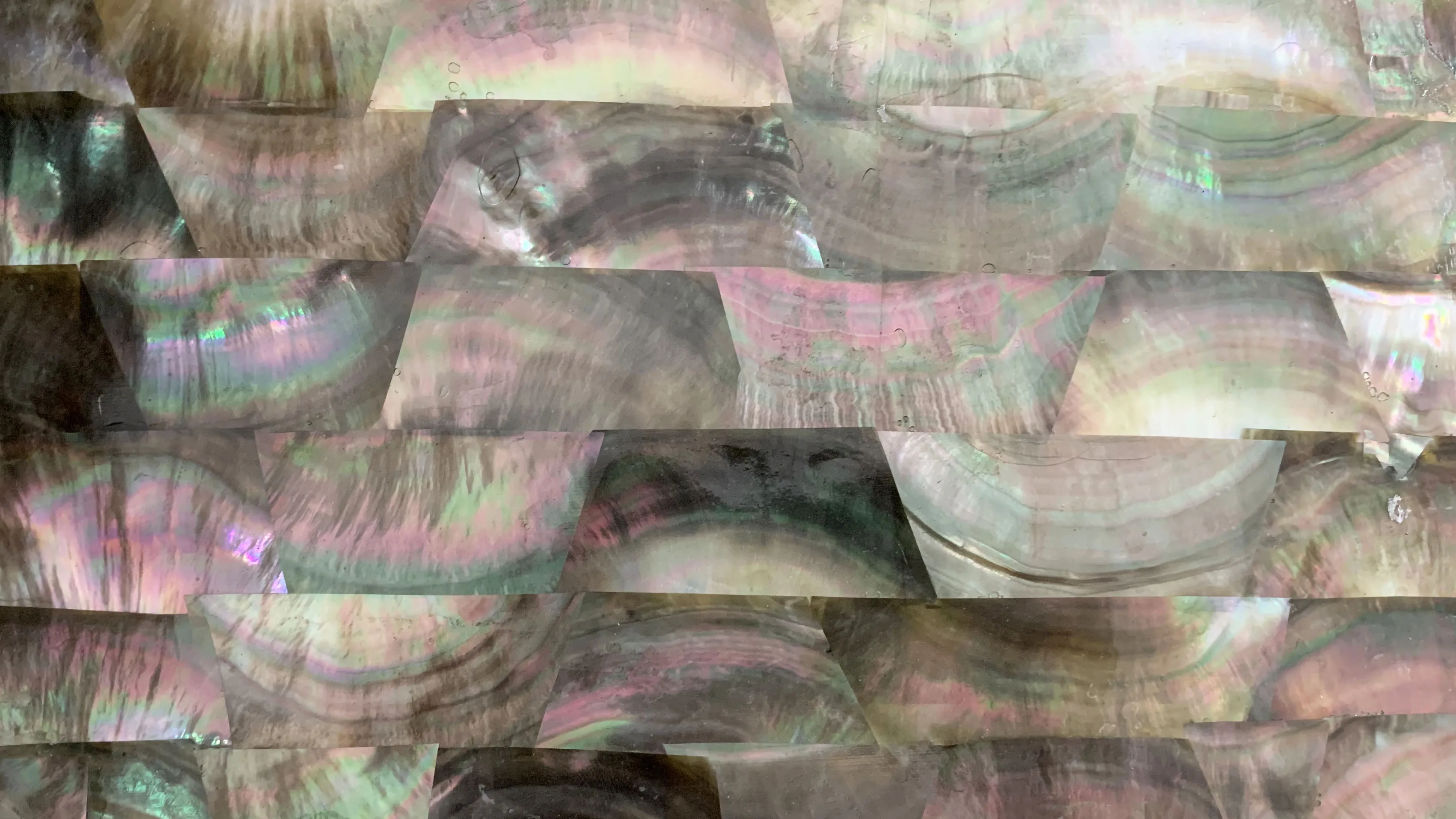 Natural Abalone Shell Sheets - Elegant Mother of Pearl