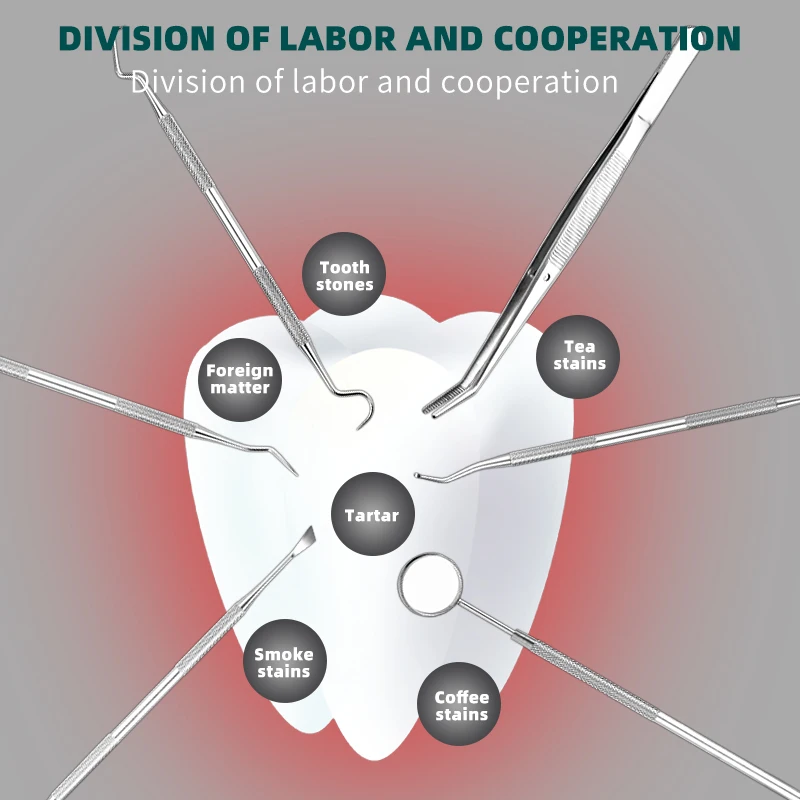 6 Stainless Steel Teeth Scraper/teeth Cleaning Tool and Oral Oral Tool ...