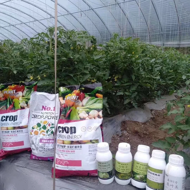 Agriculture Use Factory Price Npk Base Fertil Water Soluble Fertilizer ...