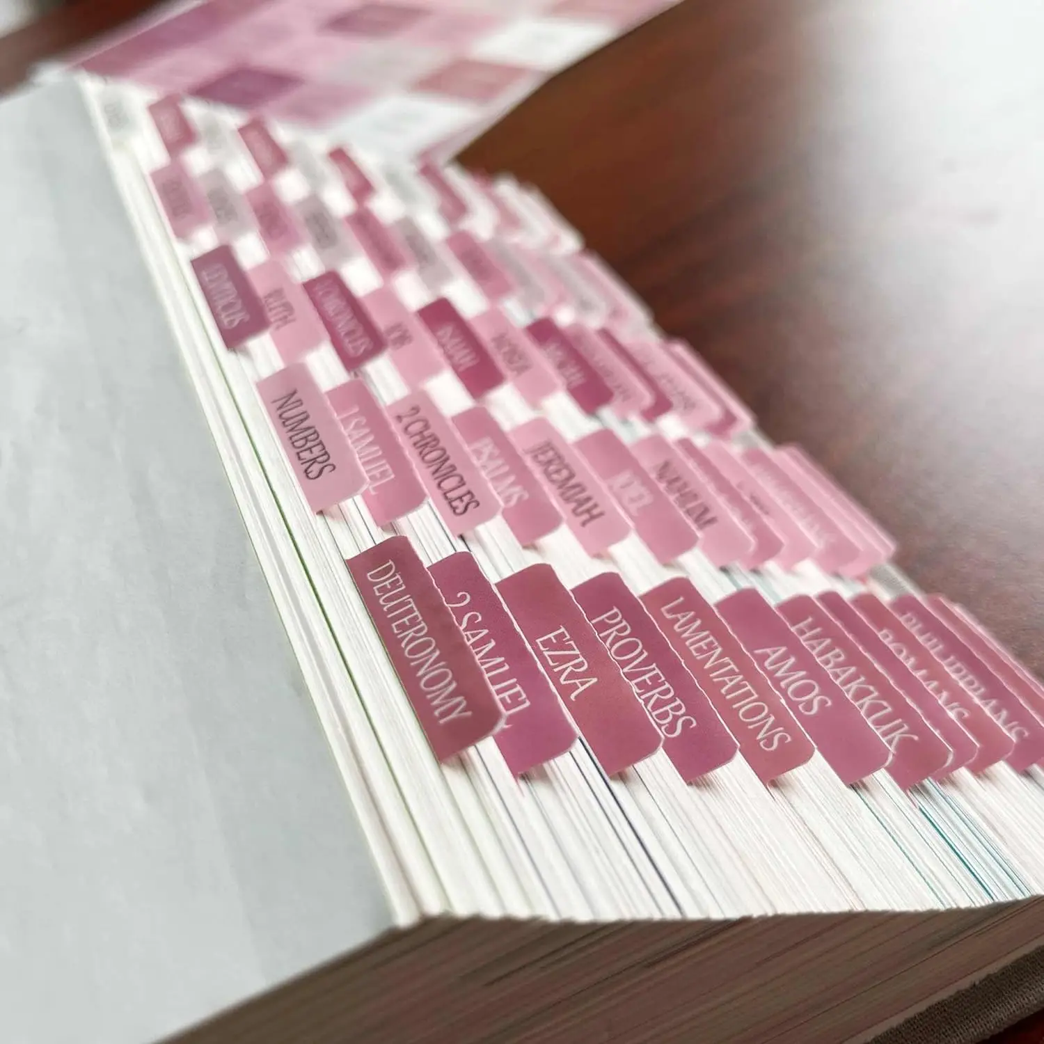 Custom Laminated Bible Personalized Bible Journaling Tabs