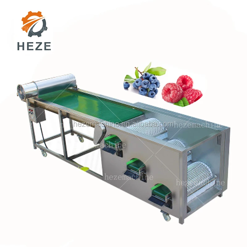 Cherry Sorting Machine/ Blueberry Sorter - Efficient Grading