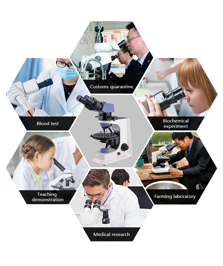 BDS400 High Precision Inverted Biological Microscope