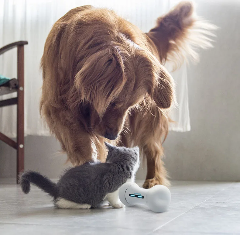 Smart Interactive Dog Toy Phone Controlled Electric Pet Toy Wickedbone ...