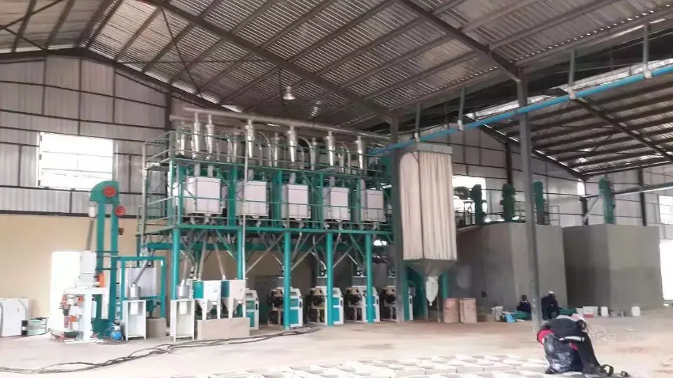 30T Maize Meal Grinding Machine - Efficient Flour Mill