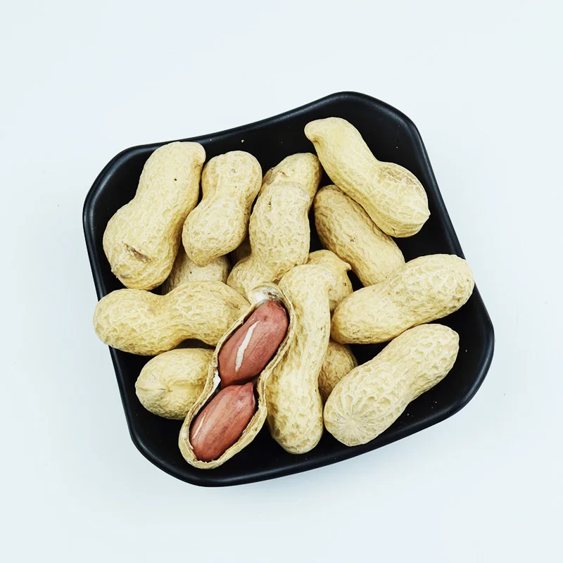 Factory Natural Organic Roasted Peanut in Shell Hai Hua Type Nuts ...