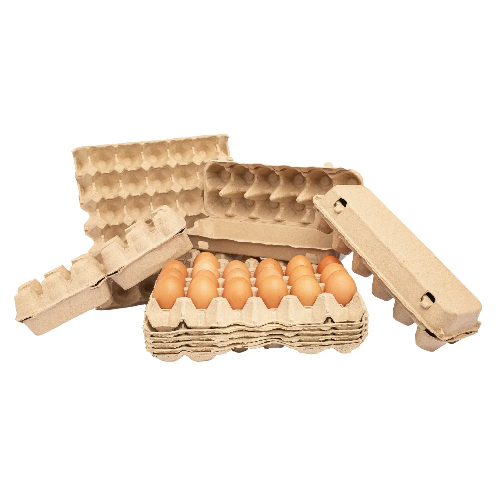 Paper Pulp Pulp Tray Bio Degradable Egg Tray Molded 30 Cell ...