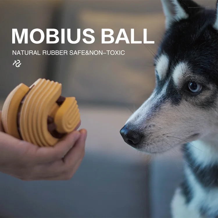 Mobius Rolling Dog Play Ball - Infinite Fun & Sustainability