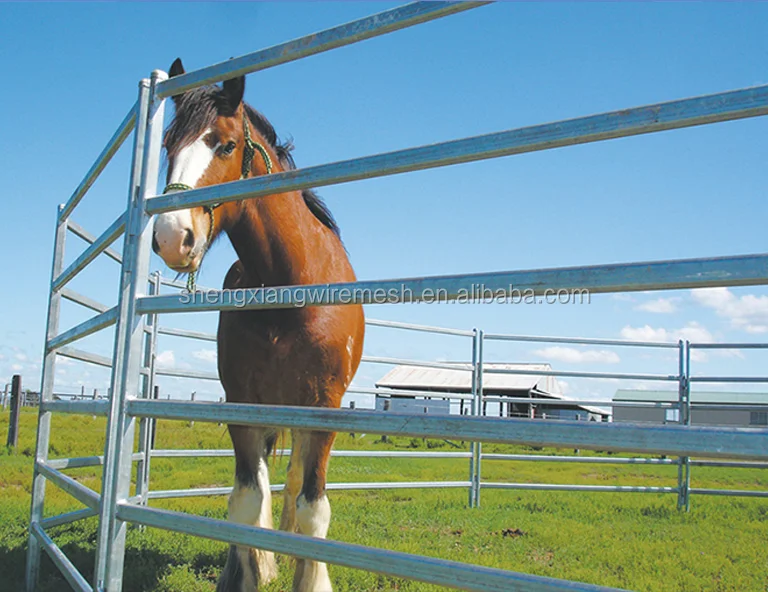 6 Bar Bull Gate/6 Bar Heavy Duty Corral Panel Cattle Fence Panel ...