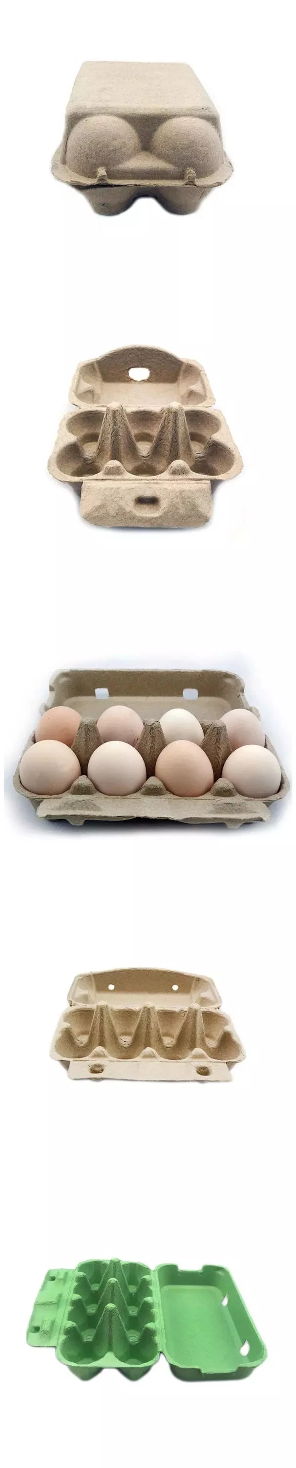 Custom Shape Sell Box - Pulp Mold Cartons for Food Packaging