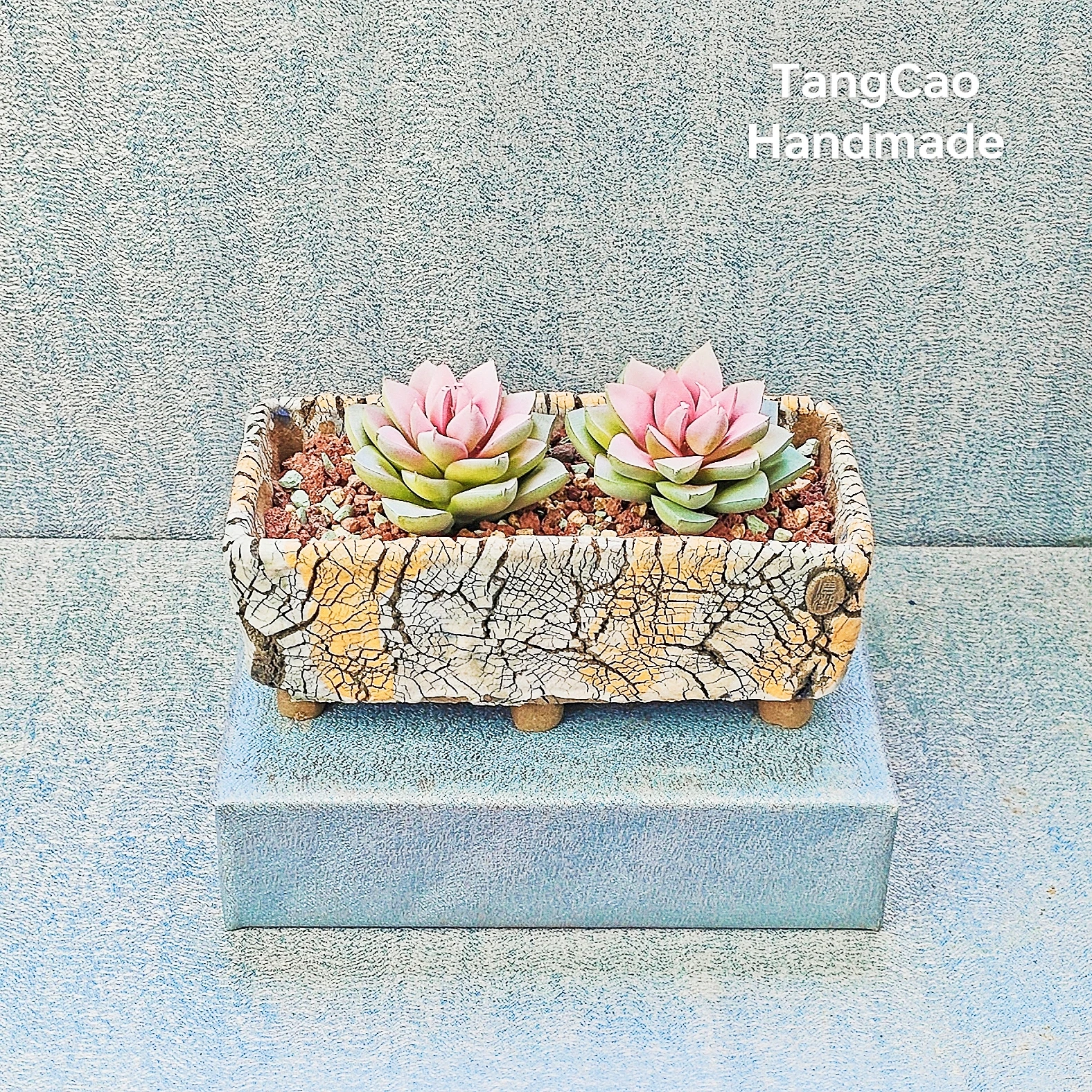 Tangcao New Design Ceramic Flower Pot Made In China Decoration For ...