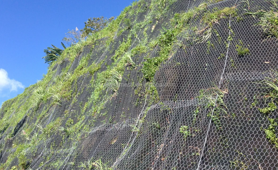 Sns Galvanized Slope Protective Nets/rockfall Barrier Mesh For ...