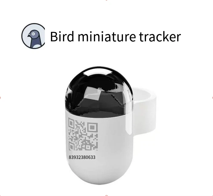 Real-Time GPS Tracker for Pigeons and Loros Outdoor Flight Tracking Leg ...