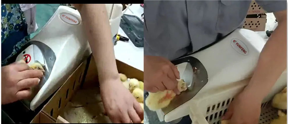 Automatic Vaccinator for Day Old Chicks - Single Injector