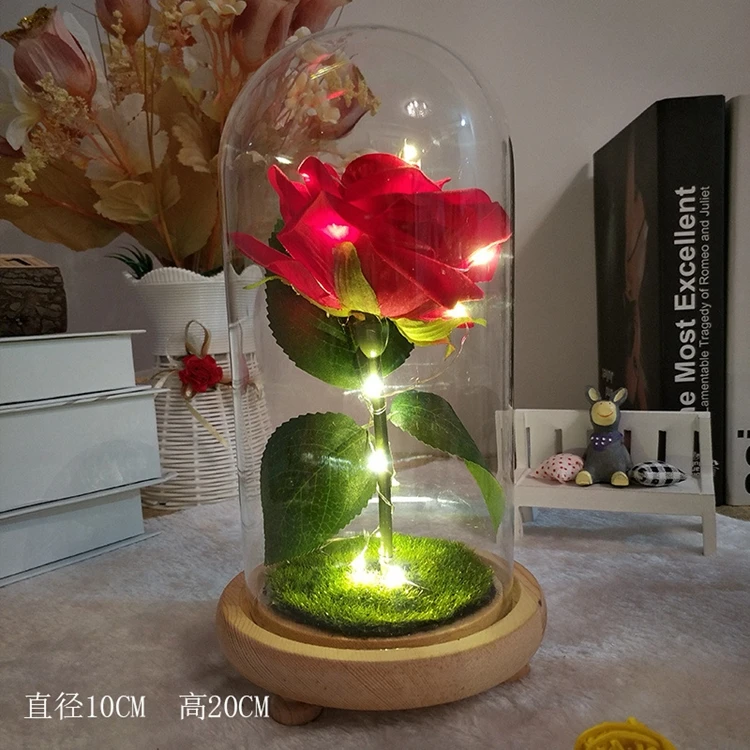 Wholesale Glass Domes With Led Light For Flower Home Decoration - Buy ...