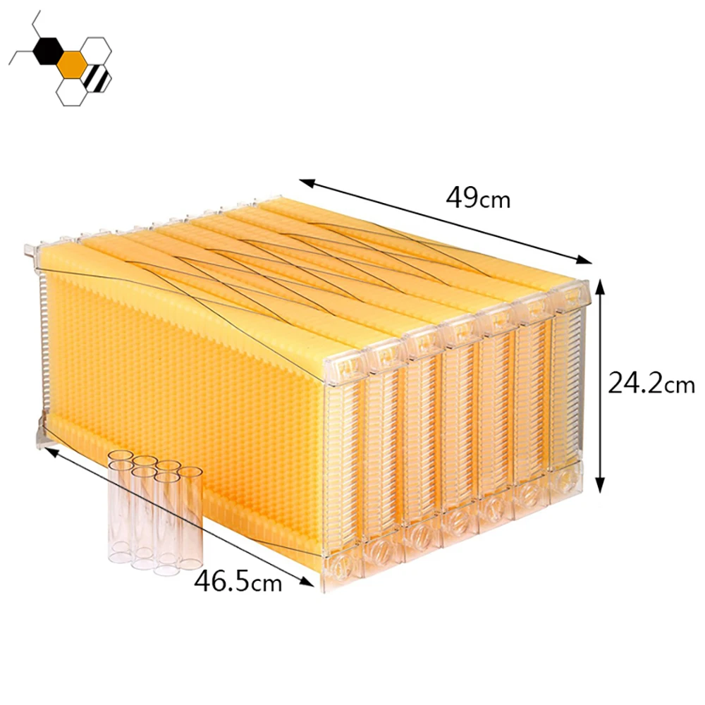 Automatic Self-Flowing Honey - 7 Bee Hive Frames Set