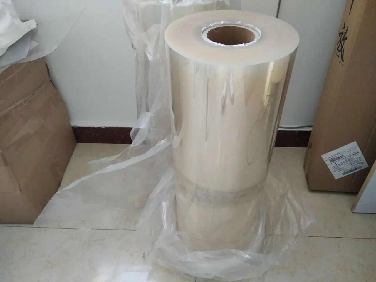 Biodegradable PLA Film for Sustainable Packaging Solutions