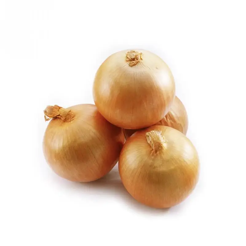 Fresh Onion Prices in India Fresh Yellow Onion Importers in India Trade ...