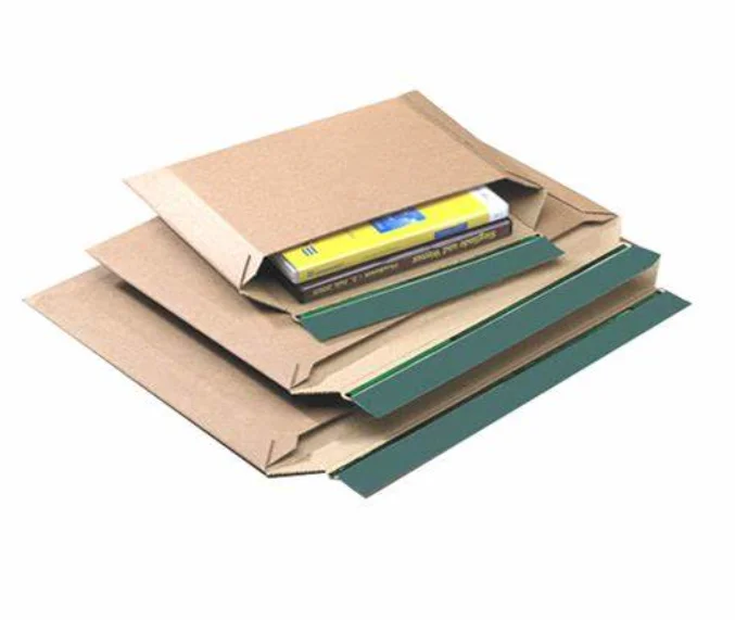 Custom Document Book Mailing Envelope - Rigid & Stylish