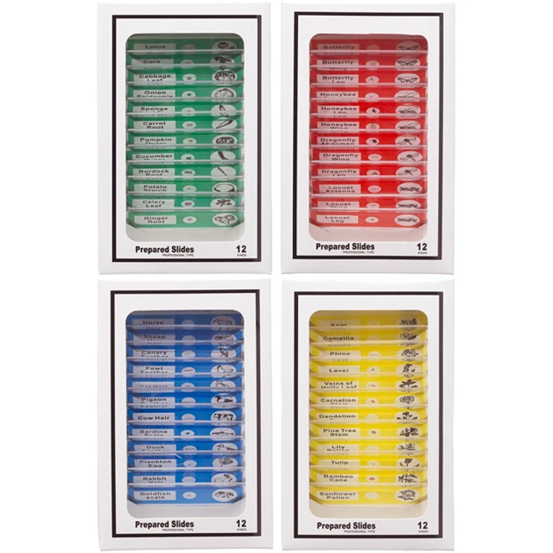 48 Pieces Plastic Prepared Slide Sets Biology Microscope Slides ...